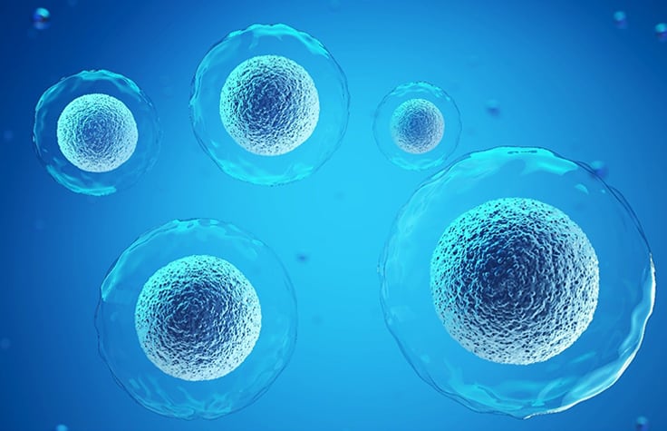 Single-Cell and Low-Input RNA-Seq | Single-cell sequencing benefits